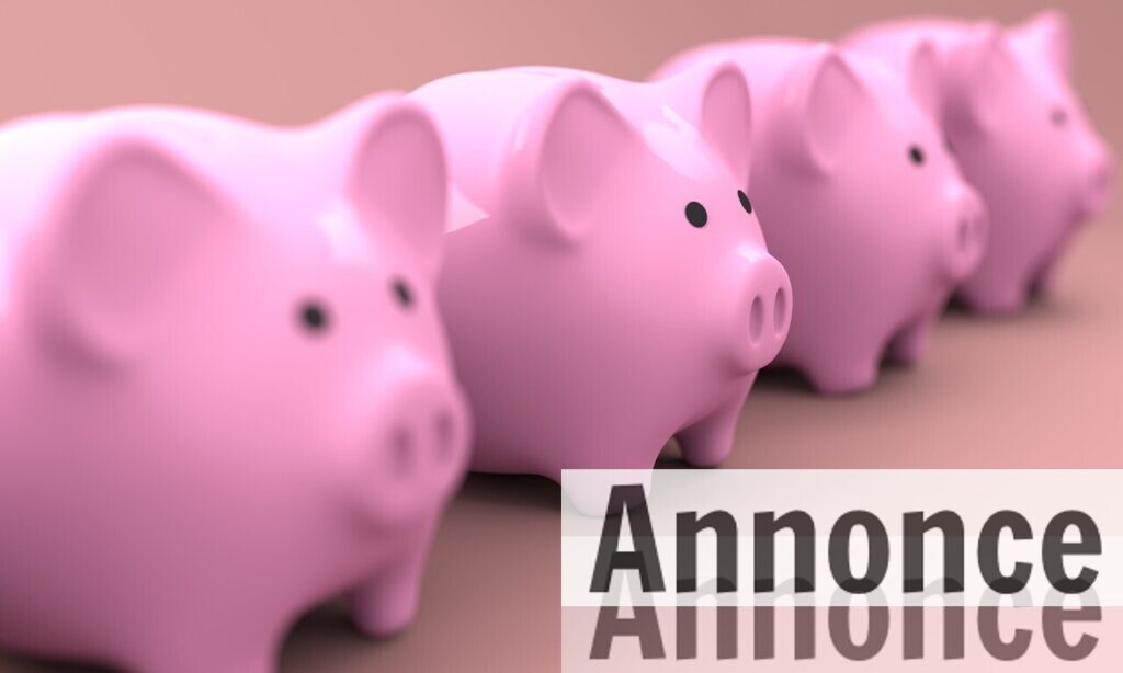 Berig hjemmet med en kattekilling - Hittekilling.dk